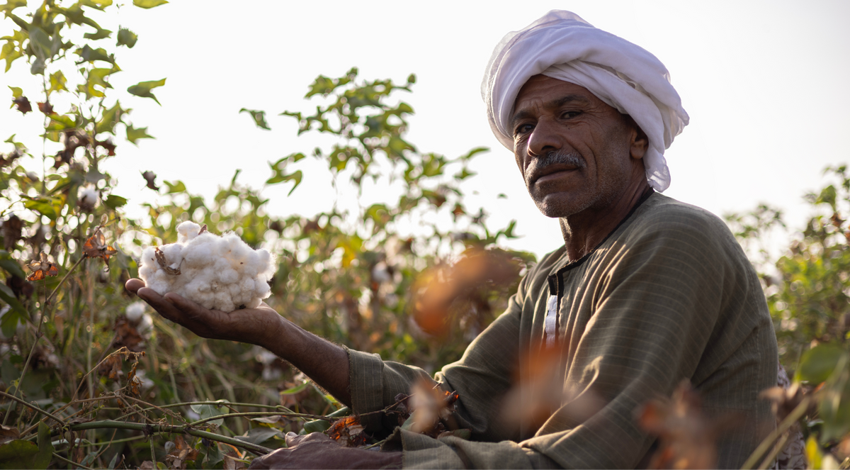 Why Regenerative Egyptian Cotton? | Nazeerah